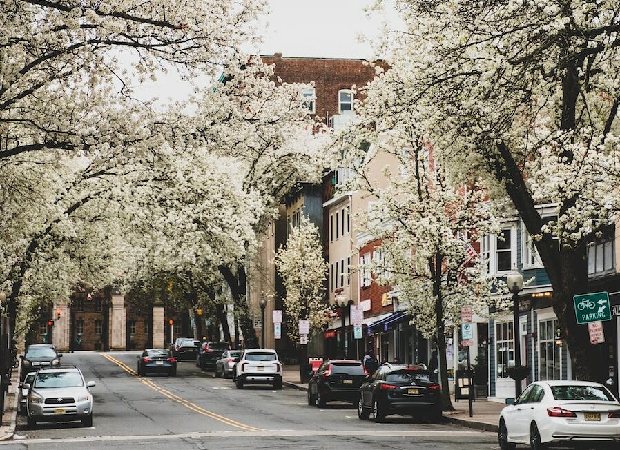 4 best dinner date spots in Princeton, NJ | Maclynn US